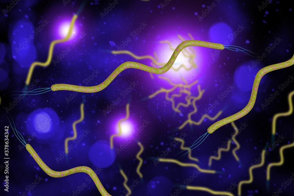 Spirilla Bacteria 3d Illustration Stock Illustration Adobe Stock