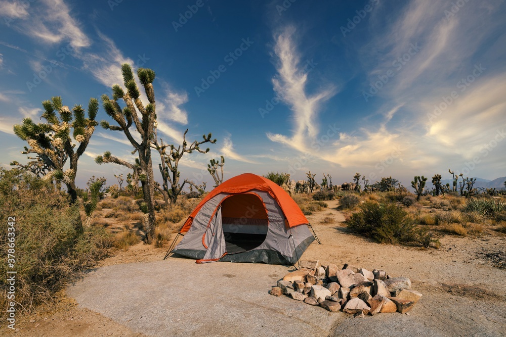 Foto de This image shows an empty camping tent in the middle of a ...