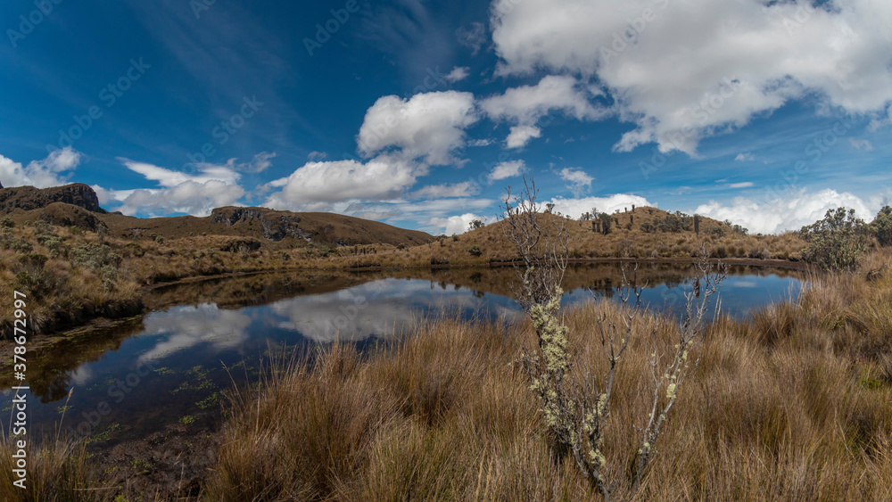 Landscape in Los Nevados National Natural Park in Colombia. Nevado de ...