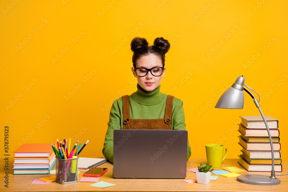 Portrait of her she attractive brainy genius girl nerd programmer ...