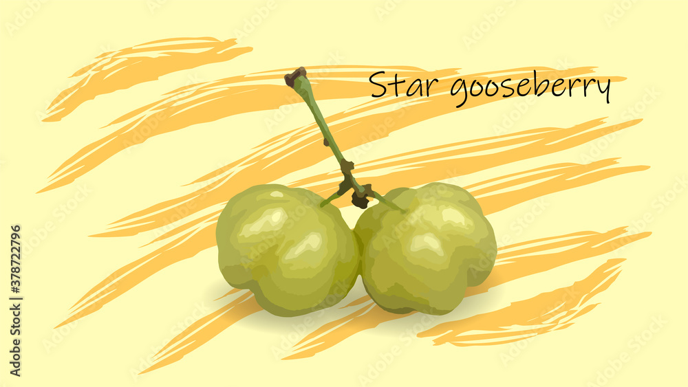 star gooseberry, Gooseberry is a fruit that has a sour taste. Stock ...