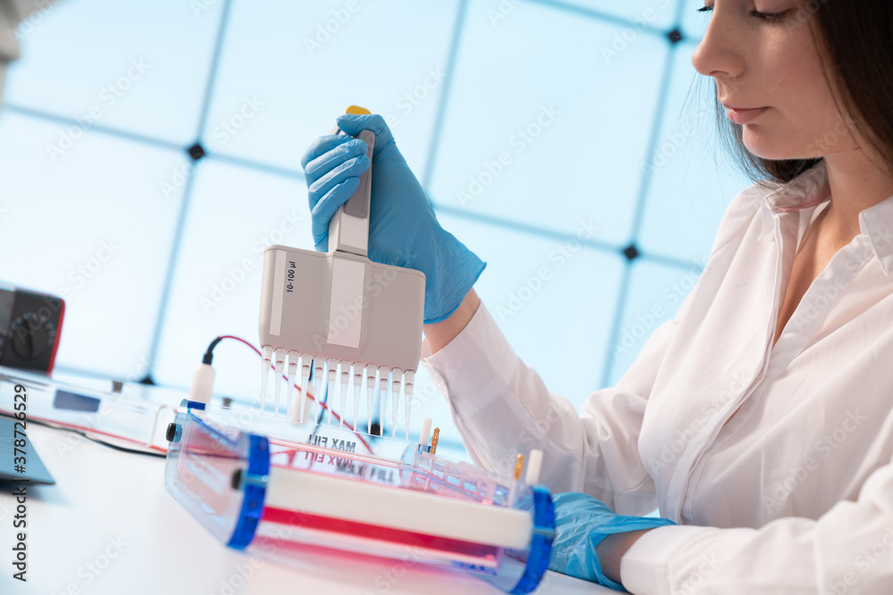 Loading Samples and Running an Agarose Gel for electrophoresis, Gel ...