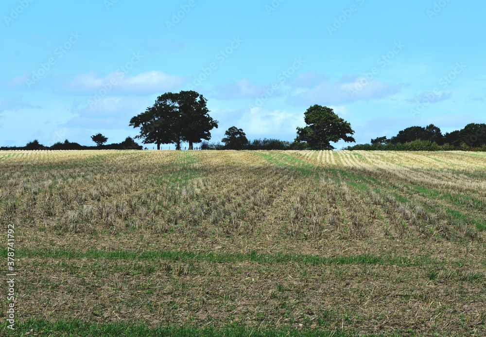 Rural England. Farmers fields at the site of the medieval battle of ...