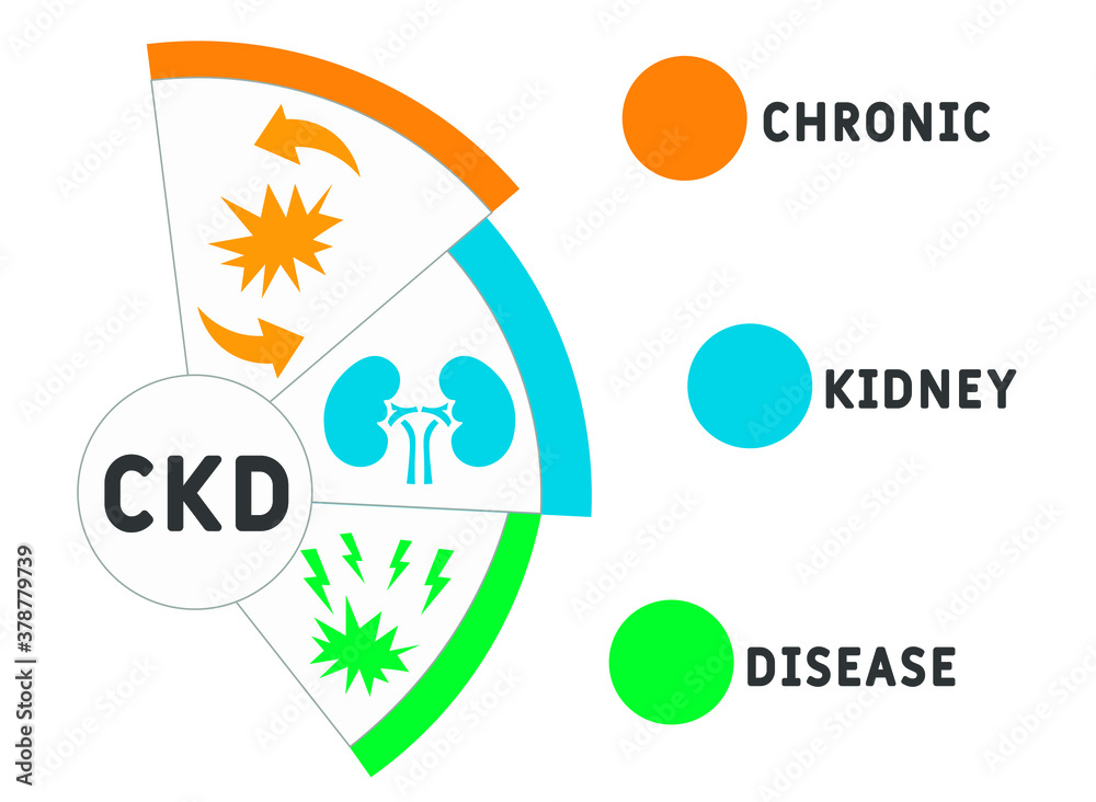CKD - Chronic Kidney Disease acronym, medical concept background ...