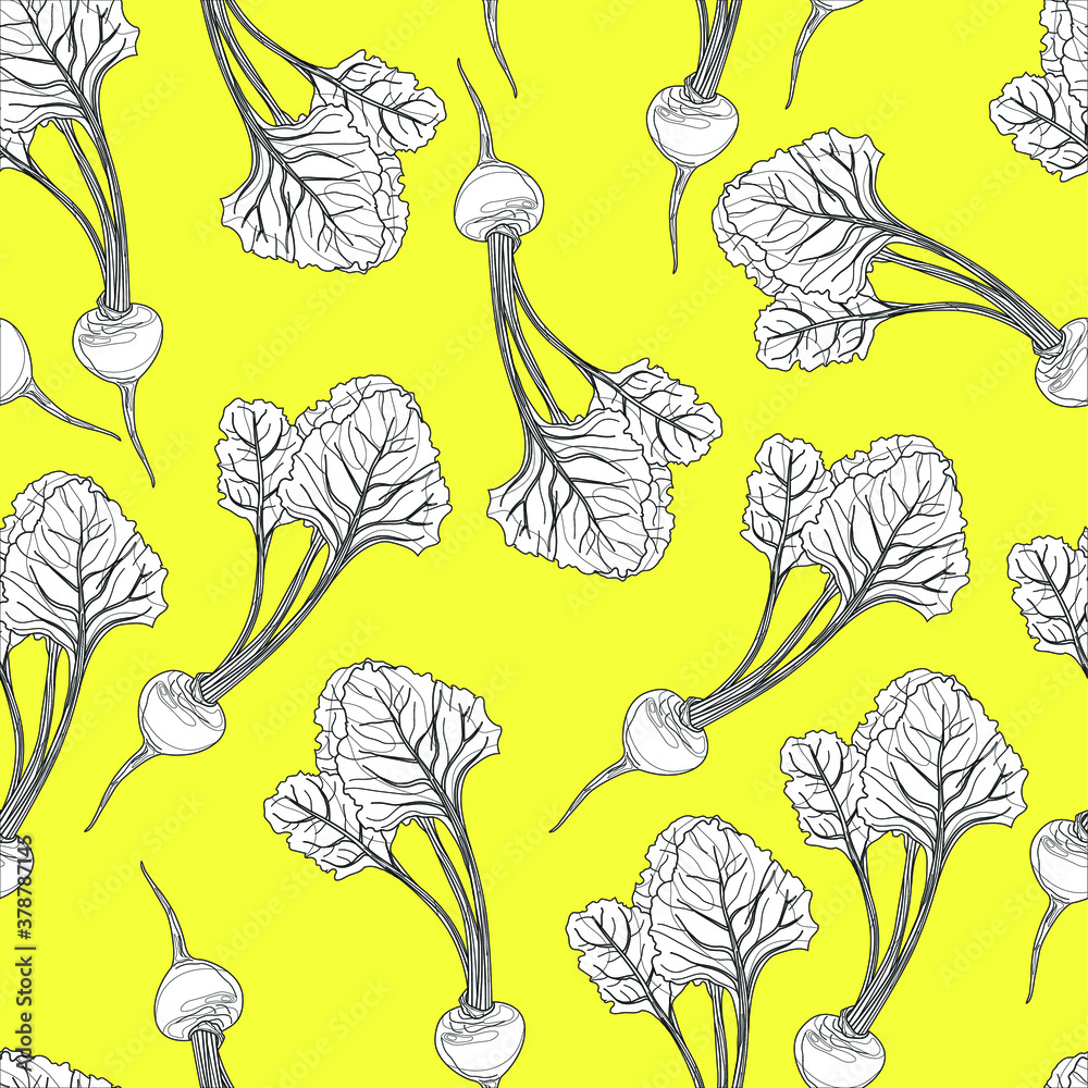 Realistic beetroot seamless pattern. Cartoon vector illustration in black and white on bright ...