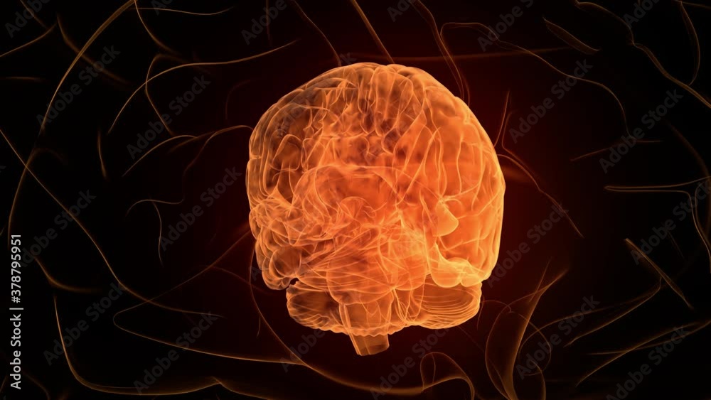 Orange Brain. Abstract digital human brain. Neural network. IQ testing ...