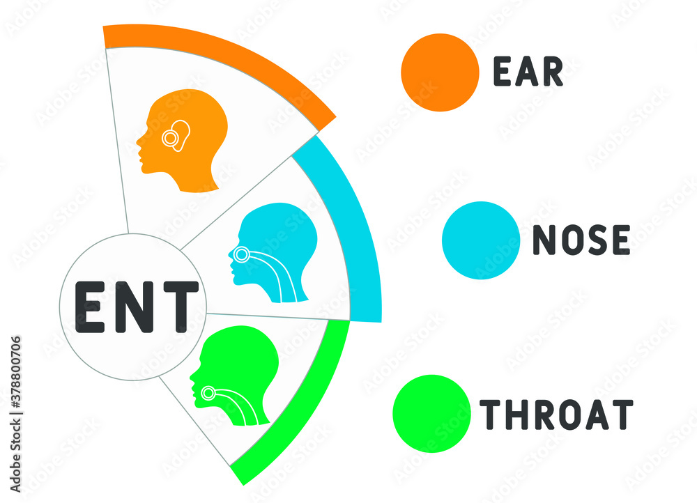 ENT - Ear Nose Throat acronym, medical concept background. vector ...