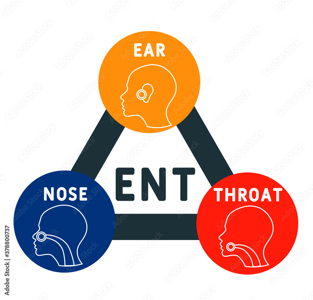ENT - Ear Nose Throat acronym, medical concept background. vector ...