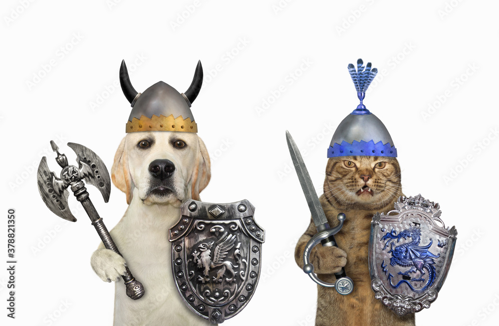 A dog with a cat are knights armed with shields, helmets, an sword and ...