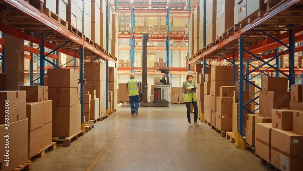 Retail Warehouse full of Shelves with Goods in Cardboard Boxes, Workers ...
