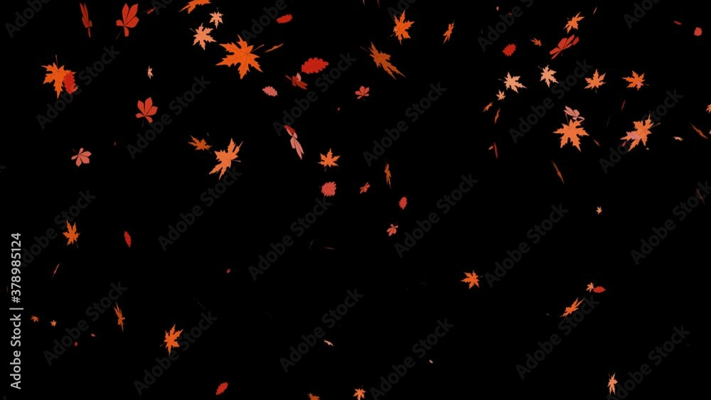 Leaf fall animation. Autumn maple, oakchestnut, linden, rowan, hornbeam ...