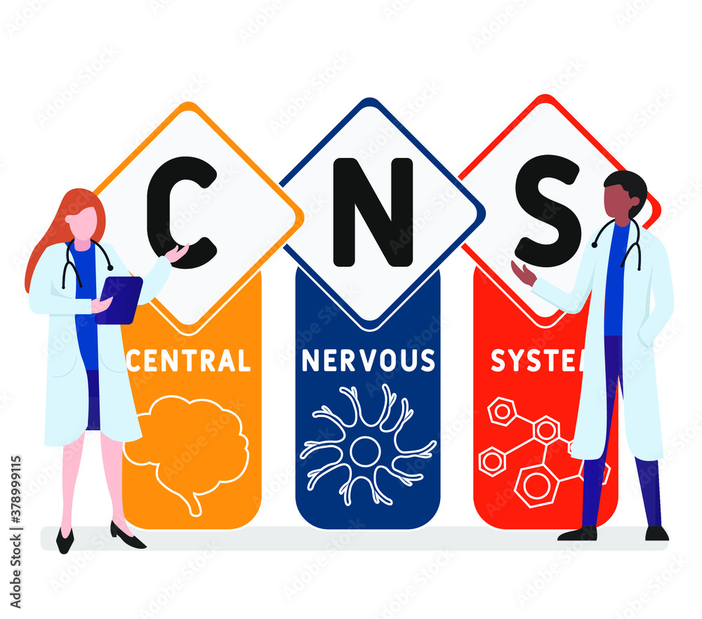 Flat design with people. CNS - Central Nervous System acronym, medical ...