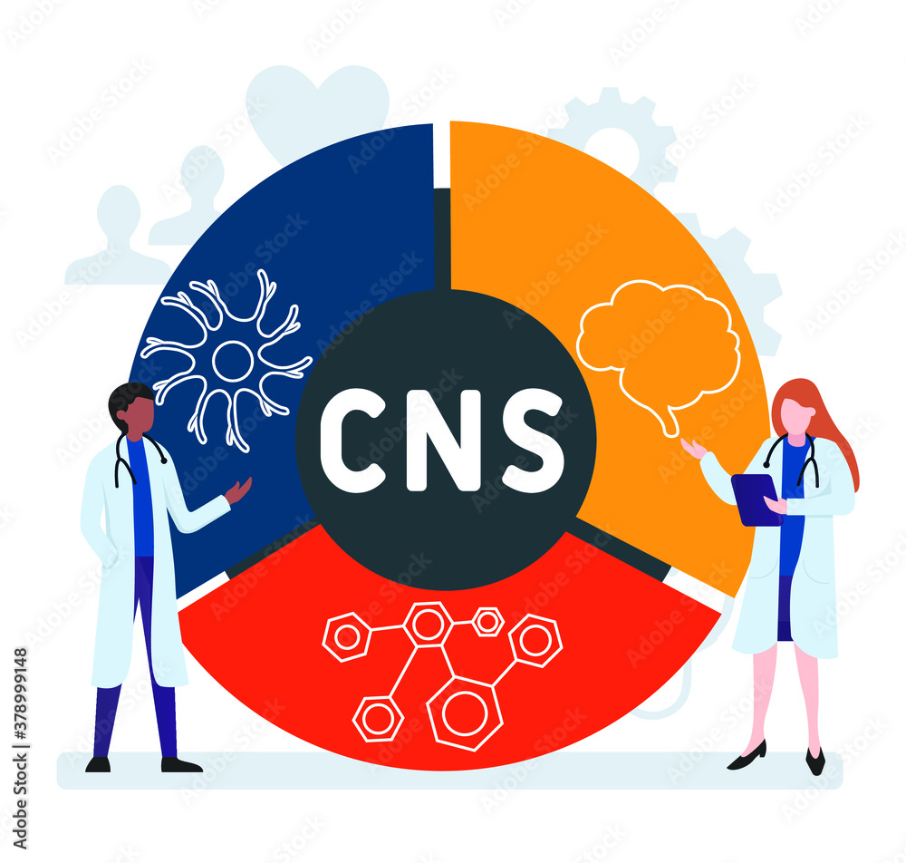 Flat design with people. CNS - Central Nervous System acronym, medical ...