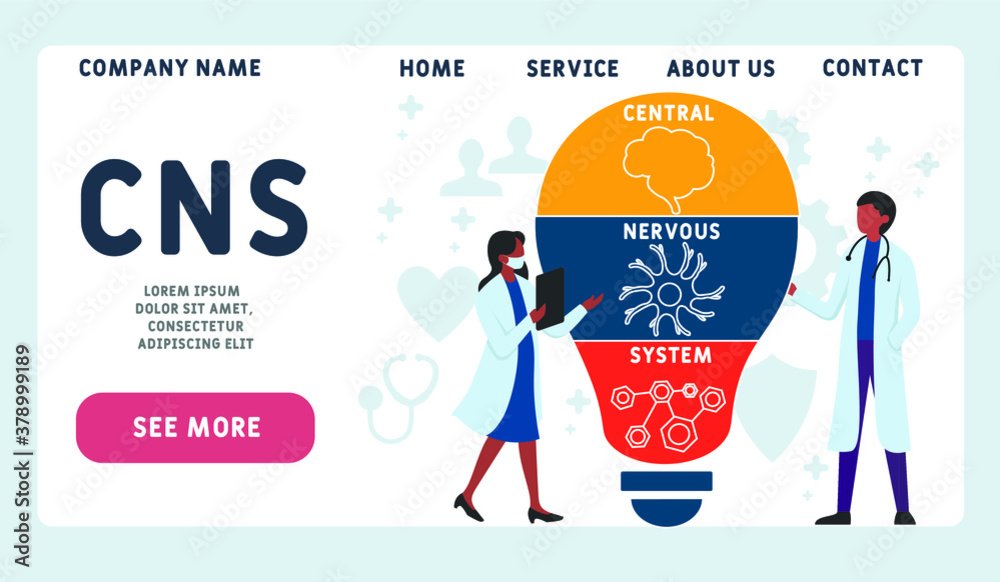 Vector website design template . CNS - Central Nervous System, acronym ...