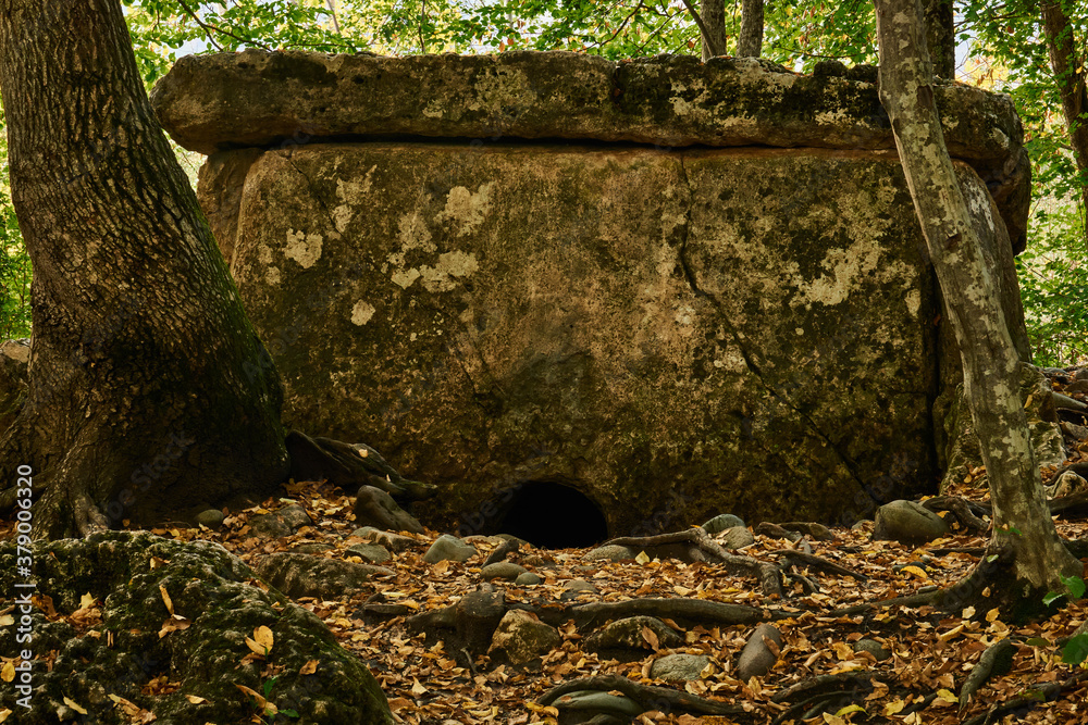 ancient megalith dolmen among trees in an autumn grove Stock Photo ...