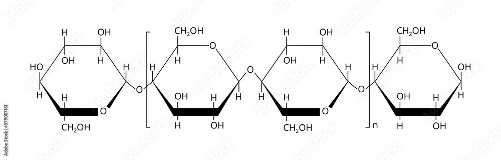 Glycosidic Bond In Cellulose