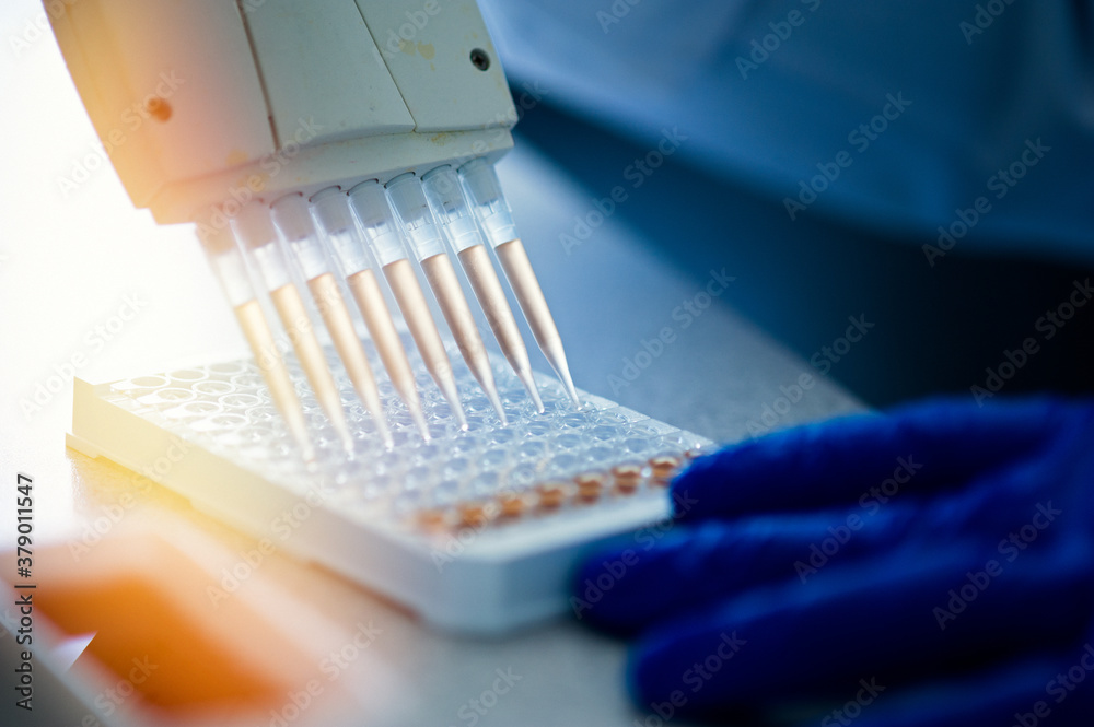 Variable volume multichannel pipette. Medical worker, scientist ...