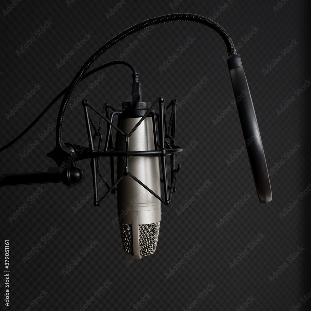 Closeup microphone on a stand in front of black soundproof wall in ...