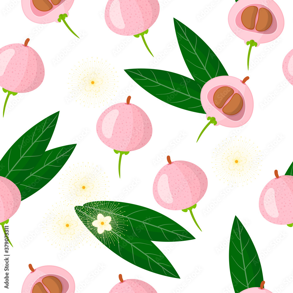 Vector cartoon seamless pattern with Syzygium jambos or Pomarose exotic ...