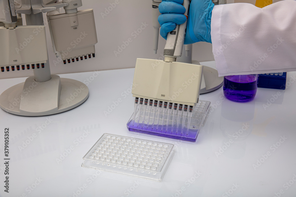 Multi channel pipette loading biological samples in microplate for test ...