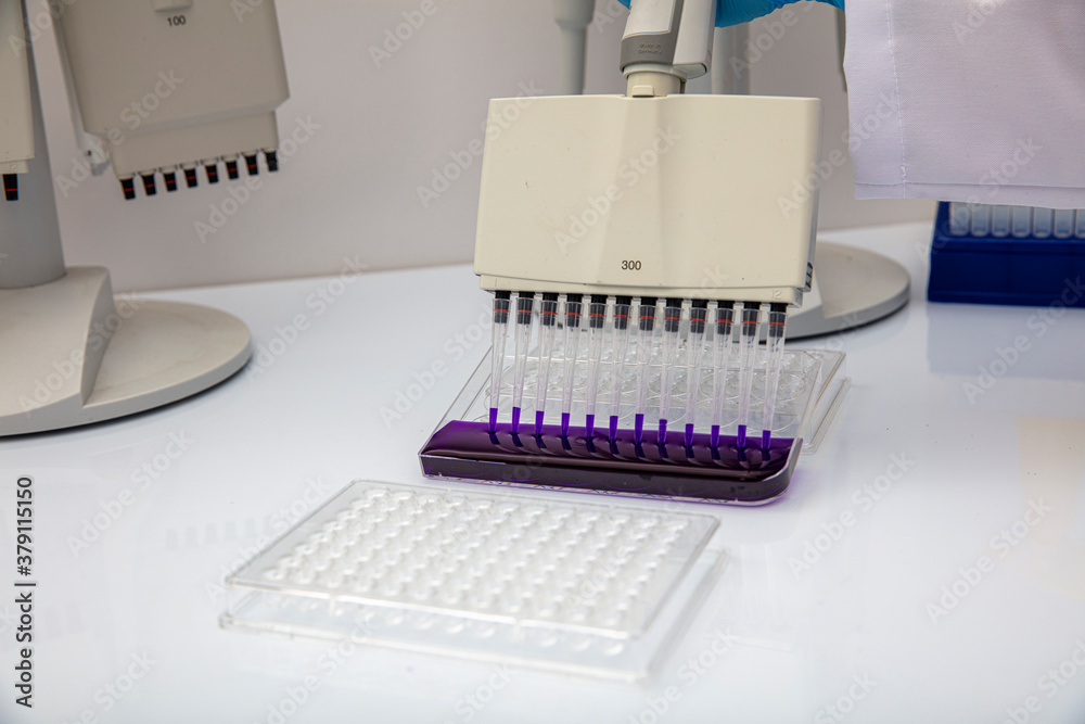 Multi channel pipette loading biological samples in microplate for test ...