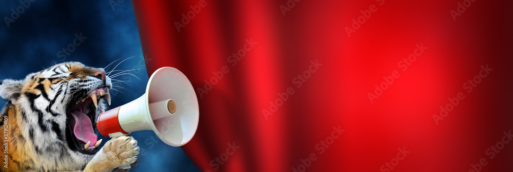 Tiger shouting with a megaphone. Advertising concept with copy space on ...