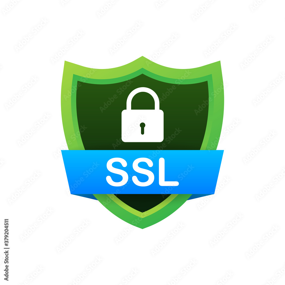 Secure connection icon vector illustration isolated on white background ...