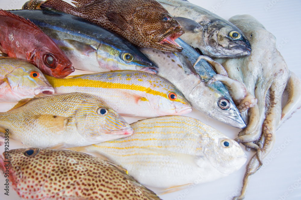 Food: group of healthy fresh raw seafood shot from above on white ...