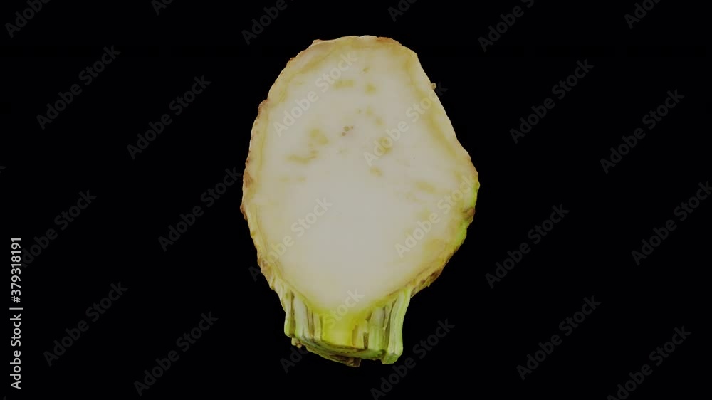 Realistic render of a rotating Celery Root (Celeriac) hypocoty cut in ...