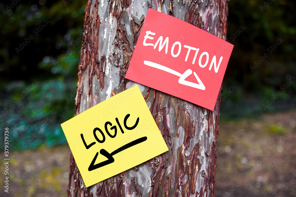 Emotion and logic words written on papers on a tree with arrow signs ...