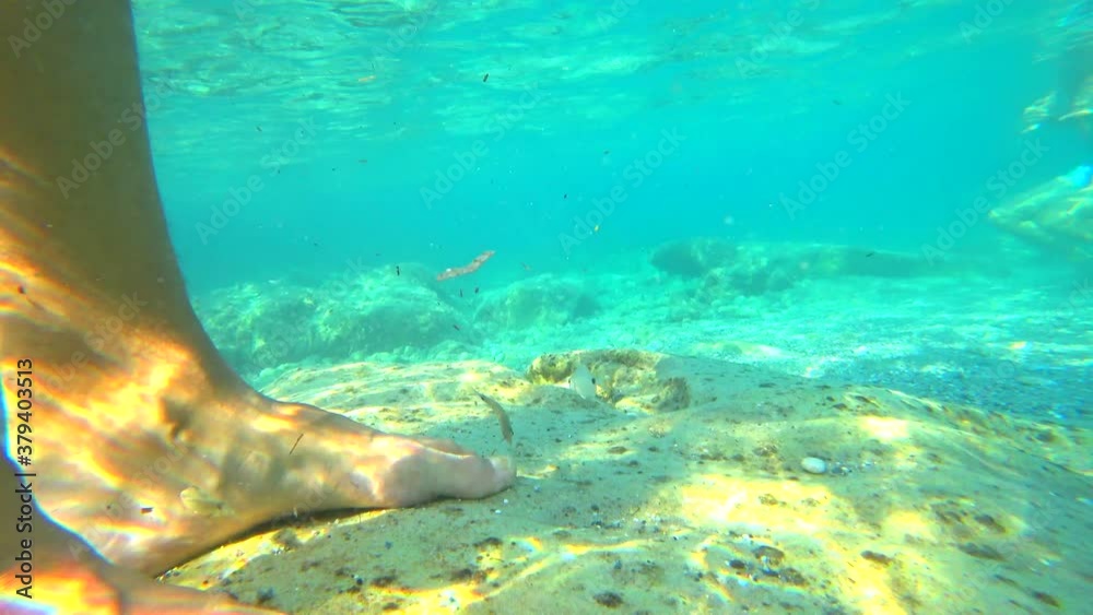 Fish Foot spa. Male hairy legs stand at bottom of the sea and small ...