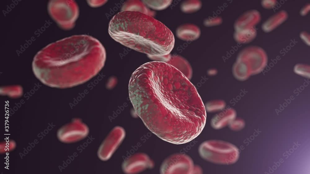 3D rendered animation of Hemoglobin Cells, Cell microscopic ...