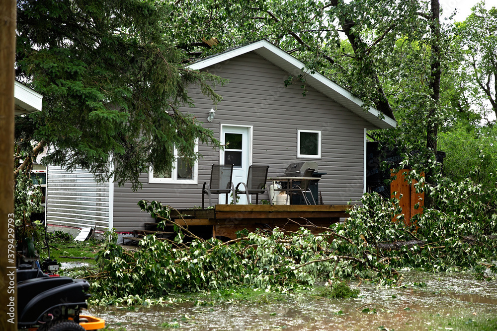 Back yard destruction from fallen trees and hail during a summer storm ...