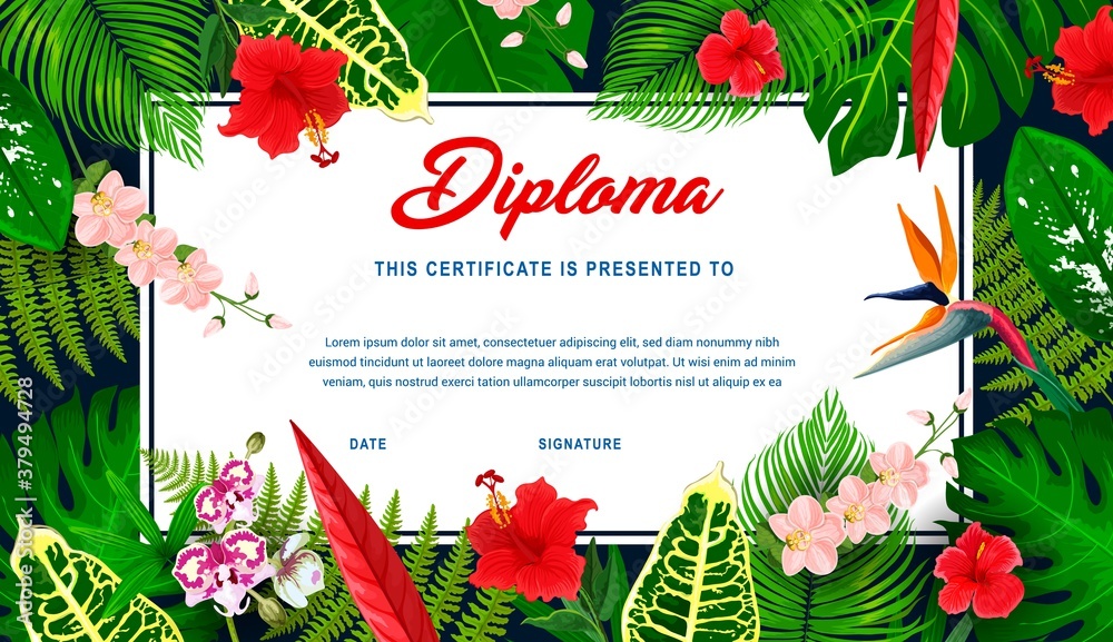 Kids diploma with tropical plants and flowers. Vector education ...