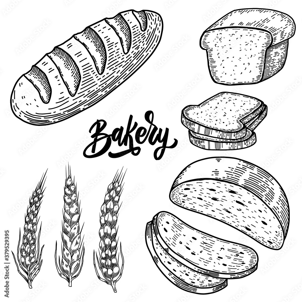 Set of Illustrations of bread in engraving style. Design element for ...