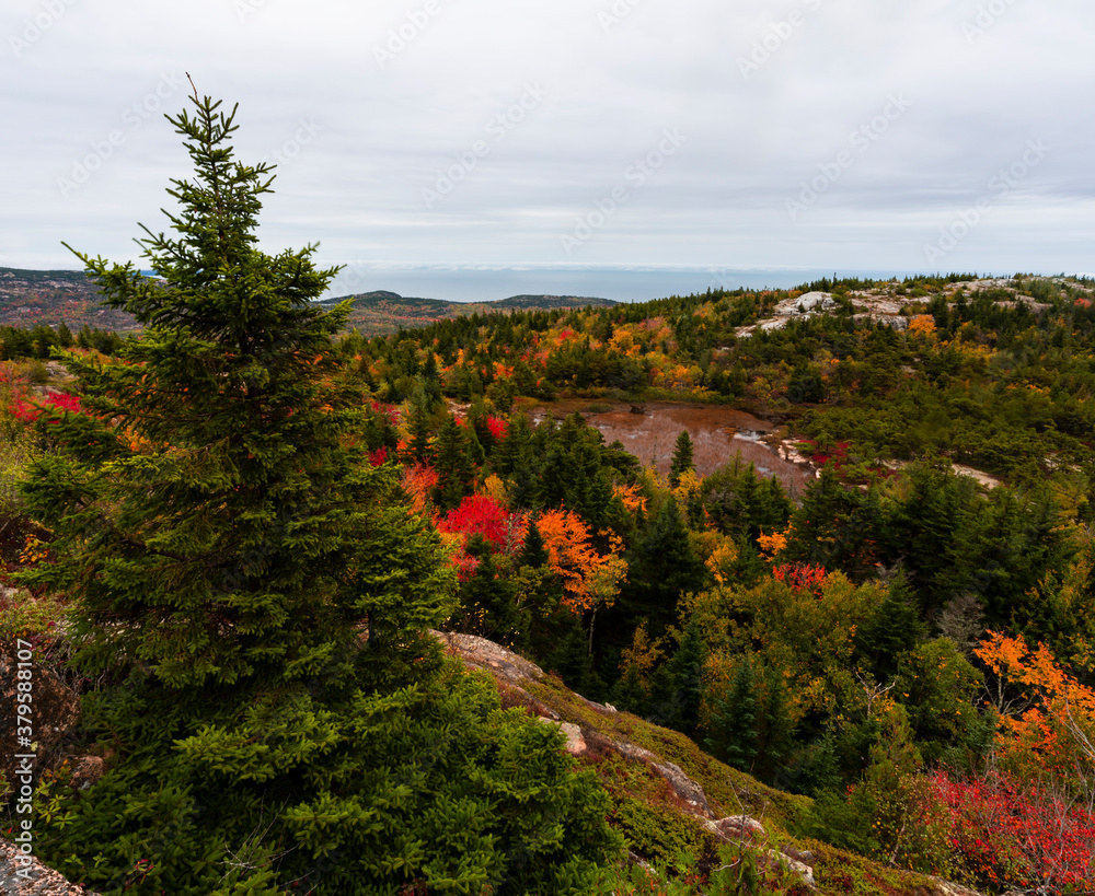 Acadia national park turns colors with the season in October and shines ...