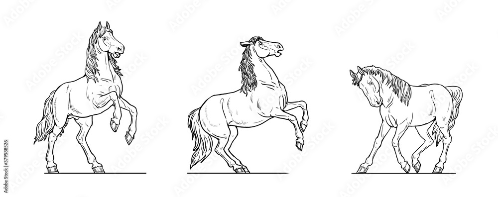 Horses drawing. Wild horses playing, running and fighting. Horse ...