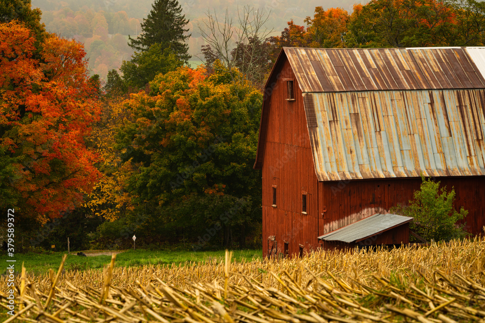 Rustic farm scene in rural vermont during autumn with fall colors ...