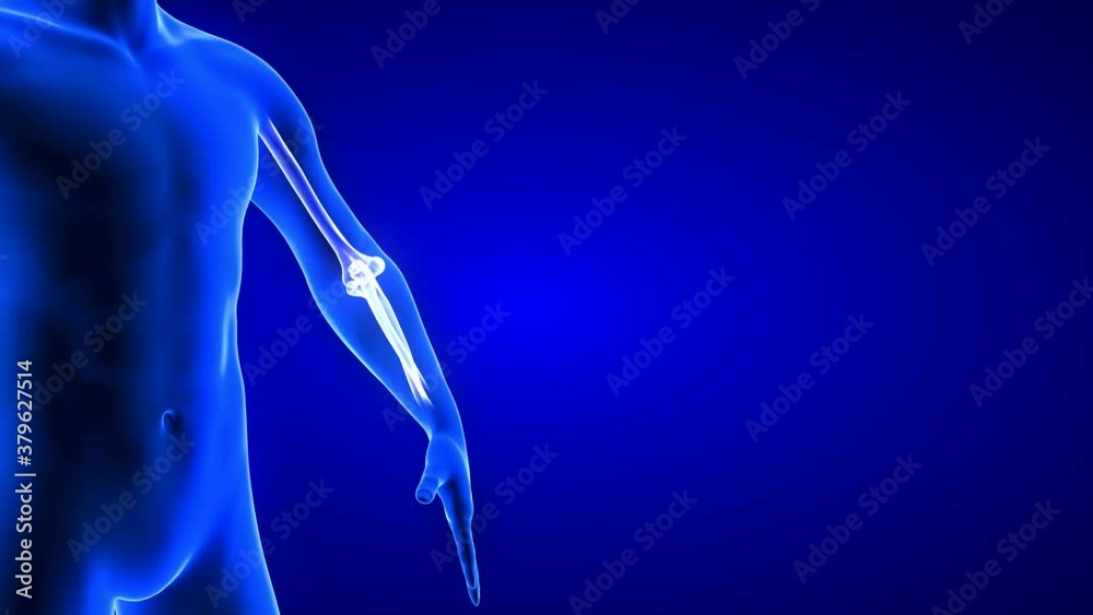Elbow Pain close-up animation. Blue Human Anatomy Body 3D Scan render ...