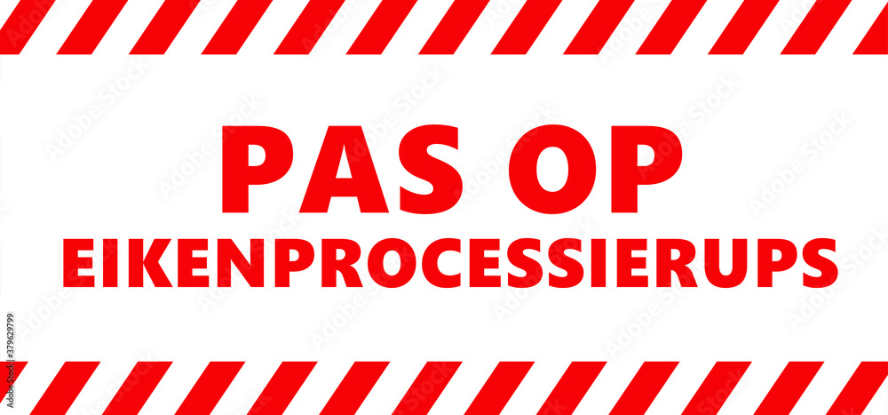 Stop Pine or Oak processionary marching Caterpillar moth Waring ...