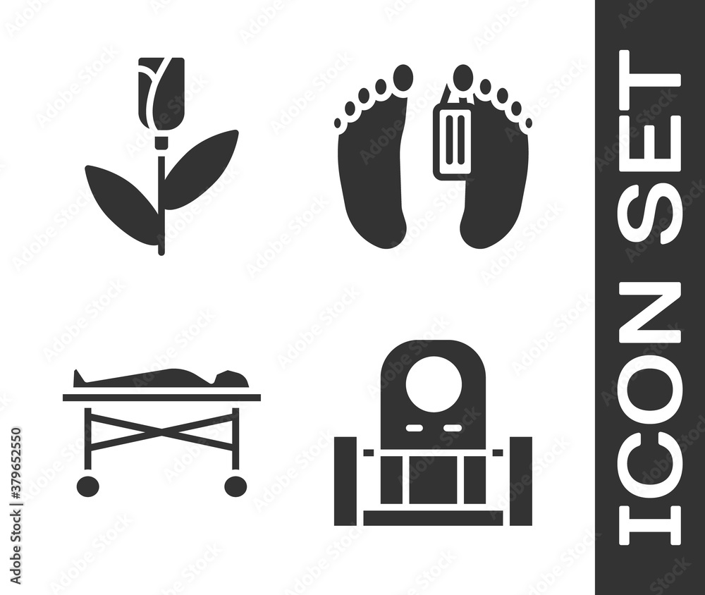 Set Grave with tombstone, Flower rose, Dead body in the morgue and Dead ...