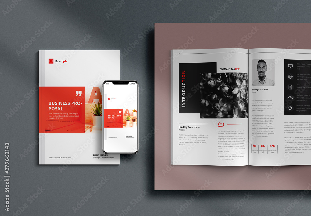 Business Proposal Layout with Red Accents Stock Template | Adobe Stock