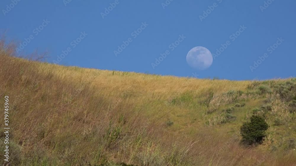 A full moon rises over a hillside in California with grass blowing in ...