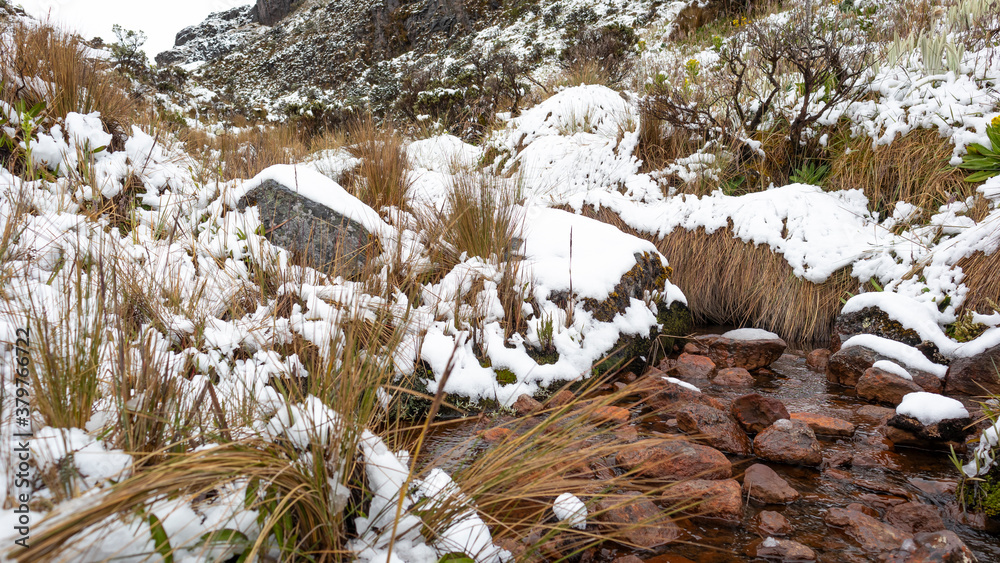 Landscape of a lake with snow in Los nevados national natural park in ...