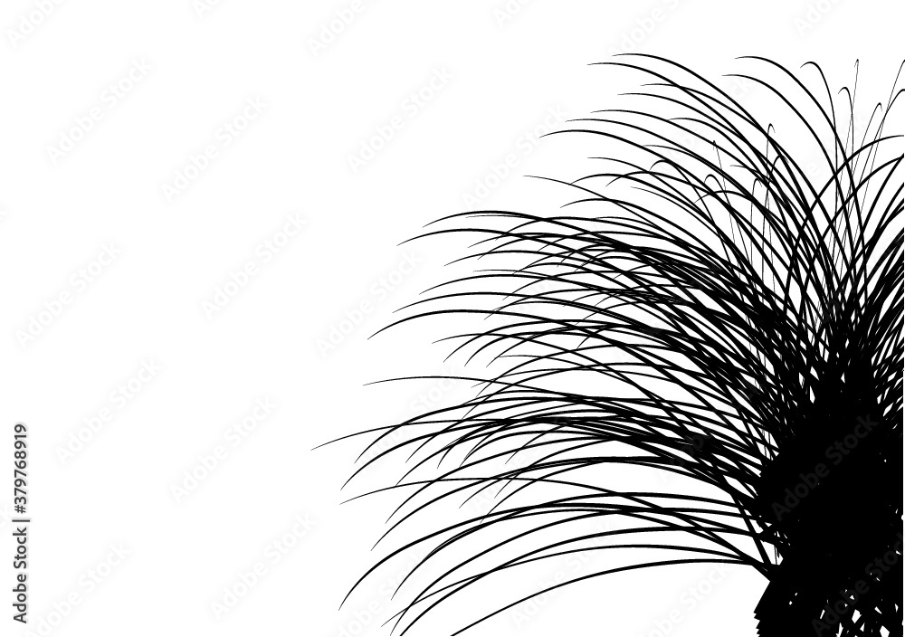 Purei, New Zealand Carex Secta grass tussock drawing Stock Vector ...