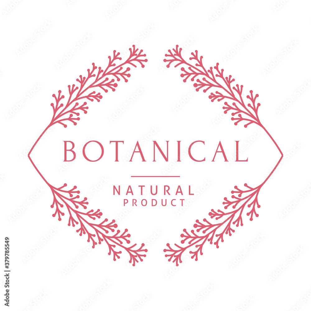 Vector botanical logo design templates in trendy line art minimal style ...
