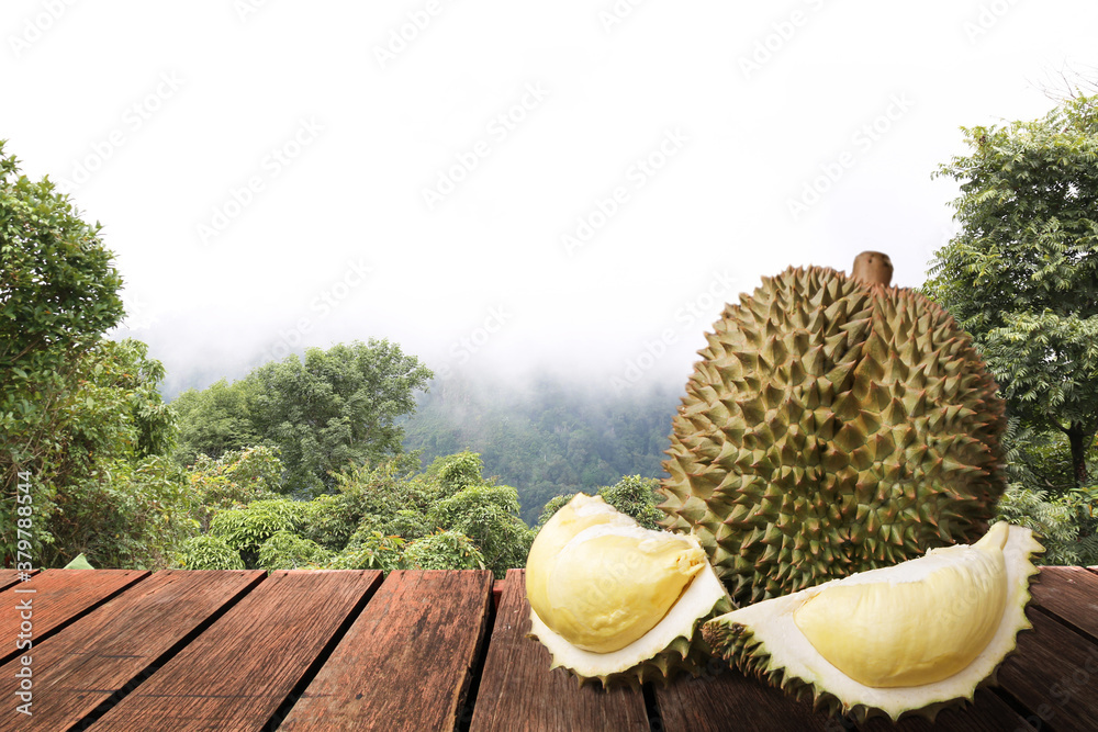 Durian riped and fresh, Durian peel with yellow color on old wood ...