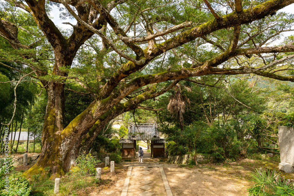 Approach to Daishu-ji temple in Sanda city, Hyogo, Japan. Translation ...