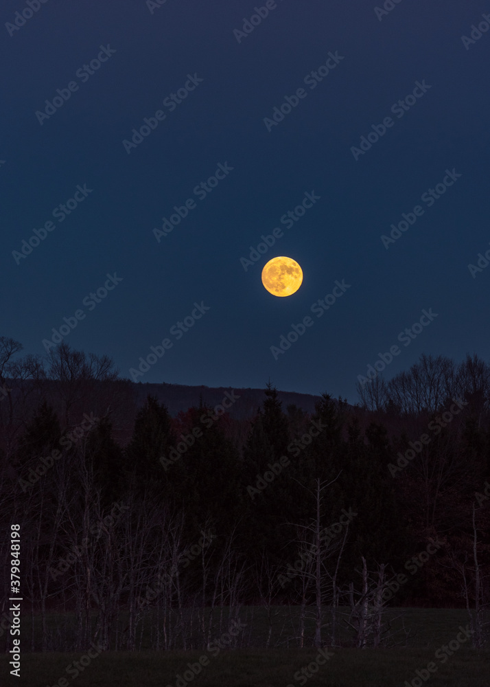 harvest moon in night sky Stock Photo | Adobe Stock