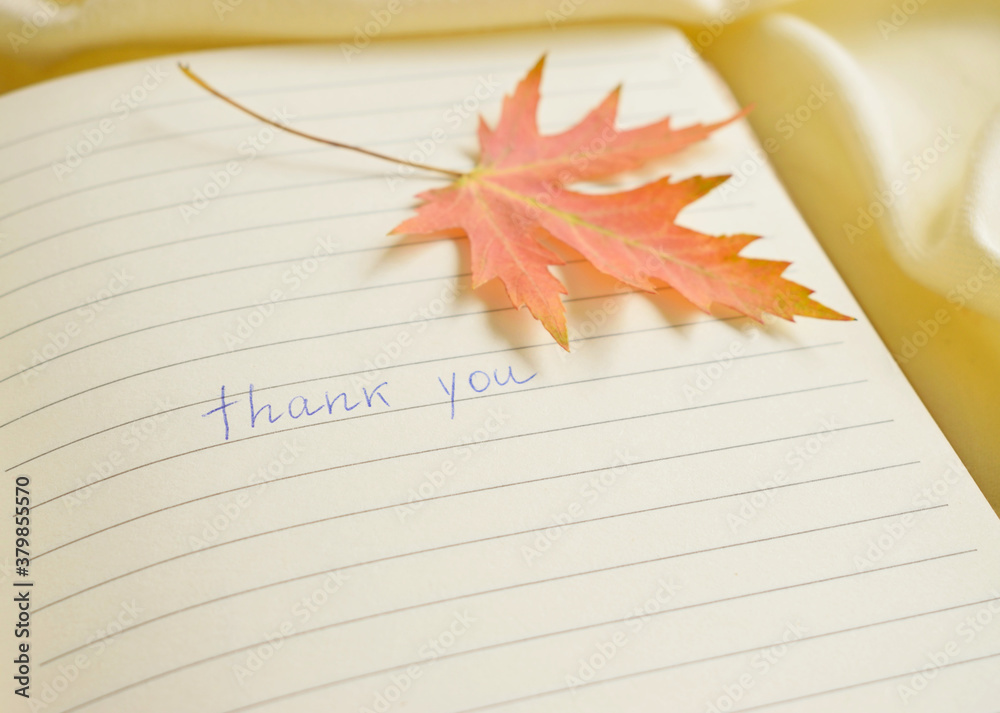 thank you text message on paper page background with printed lines and ...